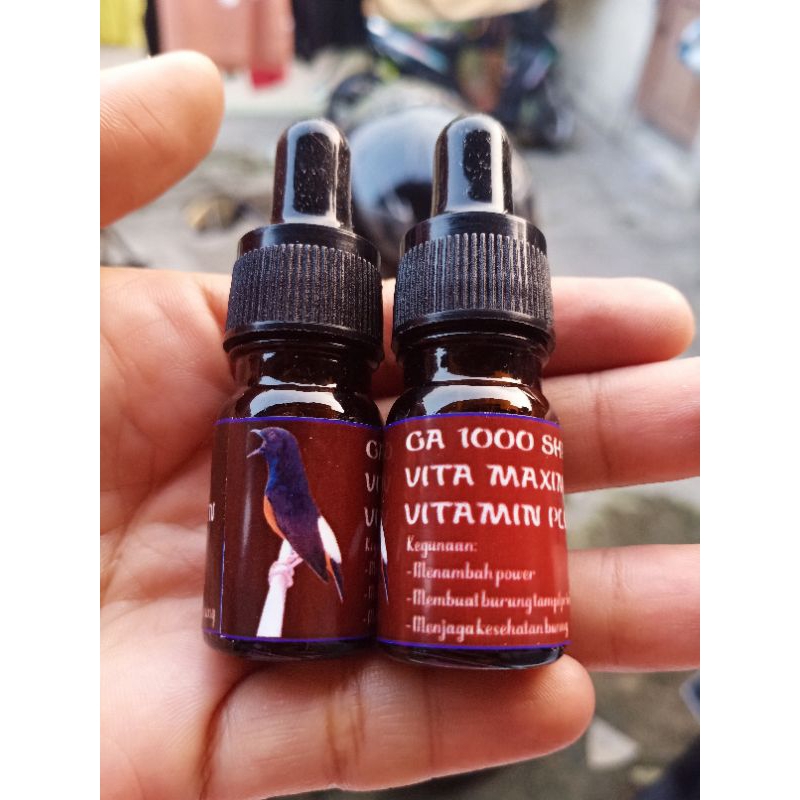 Jual GA 1000 shama vita maximal vitamin penggacor vit GA1000 sama oil ...