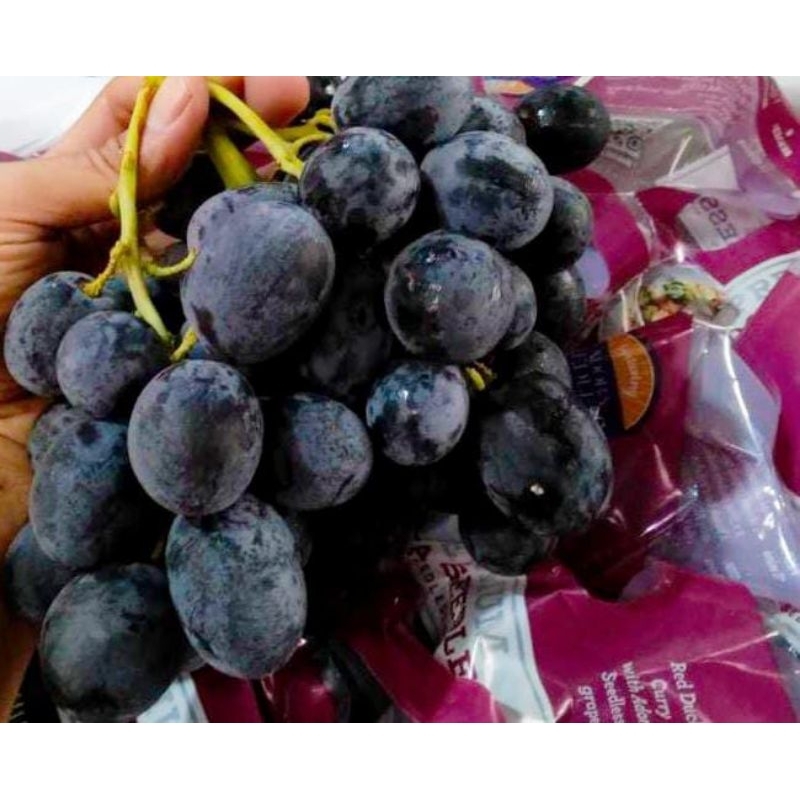 Jual buah Anggur Hitam Adora manis non biji - seedless - 1kg | Shopee ...