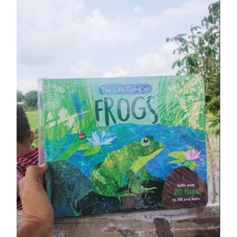 Jual The Life Cycle of Frogs book | Shopee Indonesia