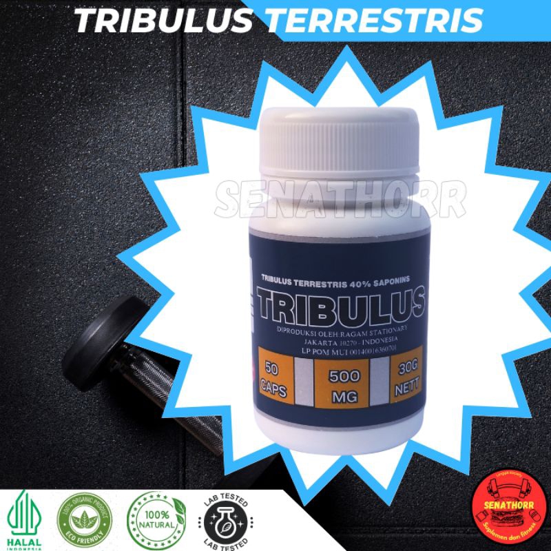 Jual TRIBULUS TERRESTRIS KAPSUL 500 MG eceran obat kuat peningkat ...