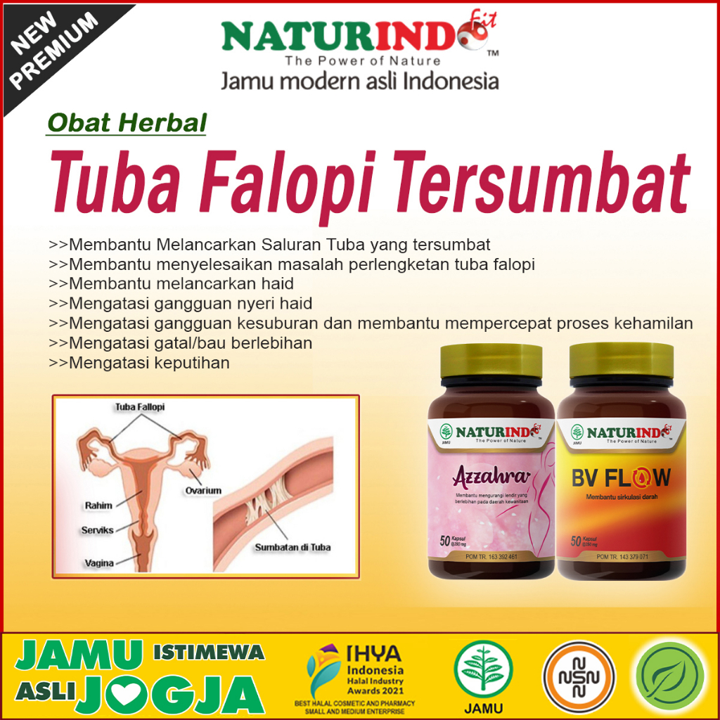 Jual Obat Herbal Tuba Falopi Tersumbat Hidrosalping NATURINDO | Shopee ...