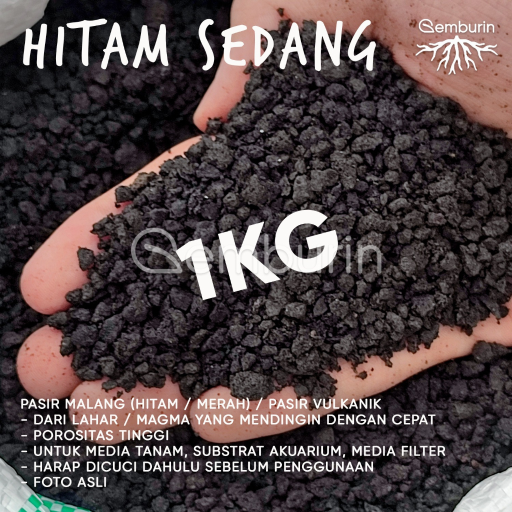 Jual PASIR MALANG HITAM SEDANG 1KG / PASMAL SUBSTRAT MEDIA TANAM ...