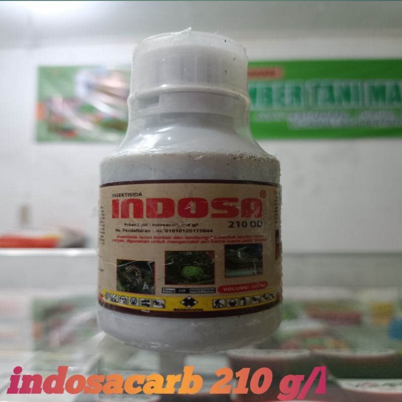 Jual indosa insektisida 210 od 100 ml | Shopee Indonesia