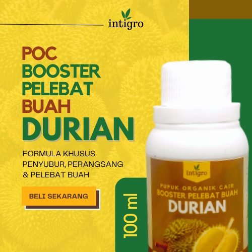Jual Pupuk Durian Pelebat Buah dan Anti Rontok / Pupuk Booster Durian / Pupuk Durian Agar Cepat ...