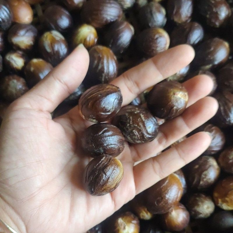 Jual biji pala kering 500gr | Shopee Indonesia