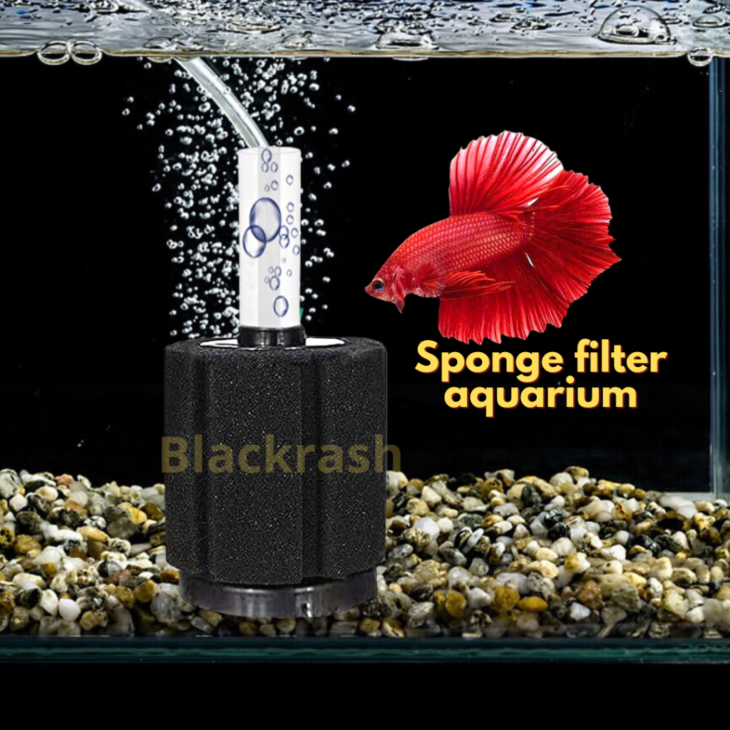 Jual Aerator Oksigen Bio Sponge Filter Penjernih Air Aquarium | Shopee ...