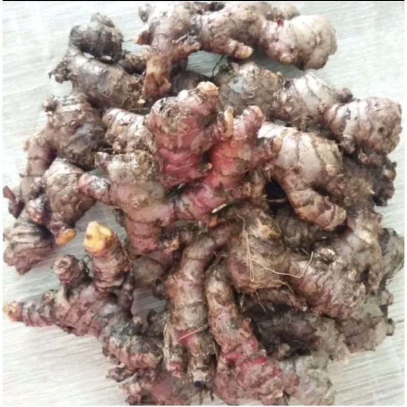 Jual 500gr Jahe merah/jahe emprit/jahe gajah | Shopee Indonesia Jual 500gr Jahe merah/jahe emprit/jahe gajah | Shopee Indonesia