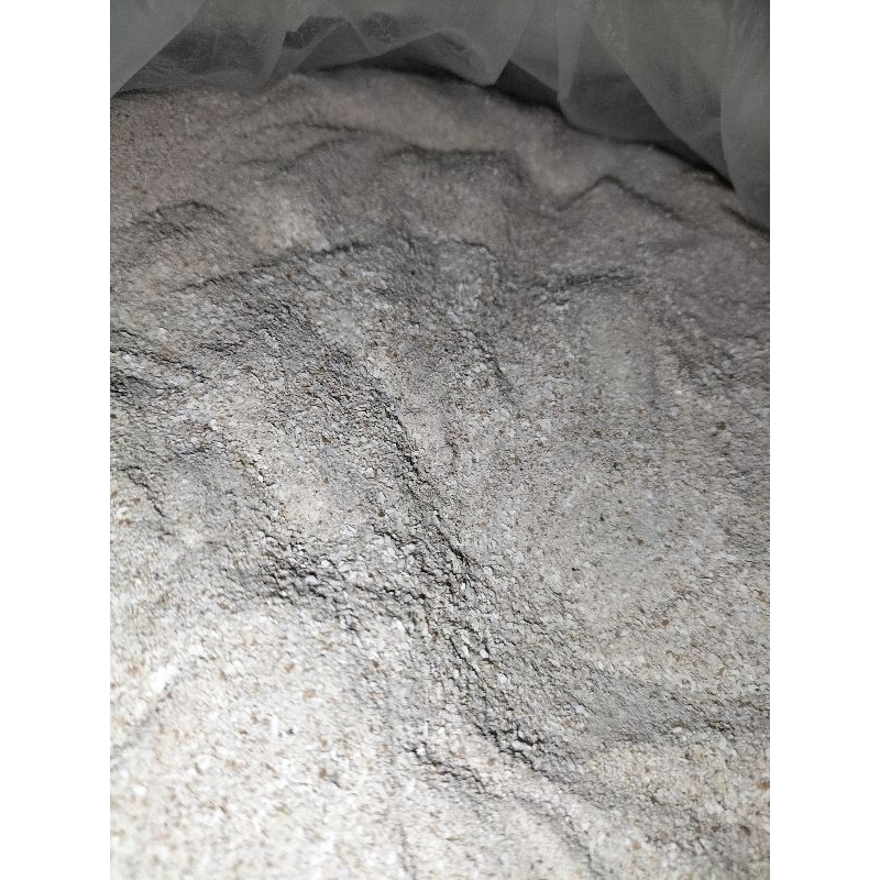Jual Tepung cangkang telur halus (1 kg) | Shopee Indonesia