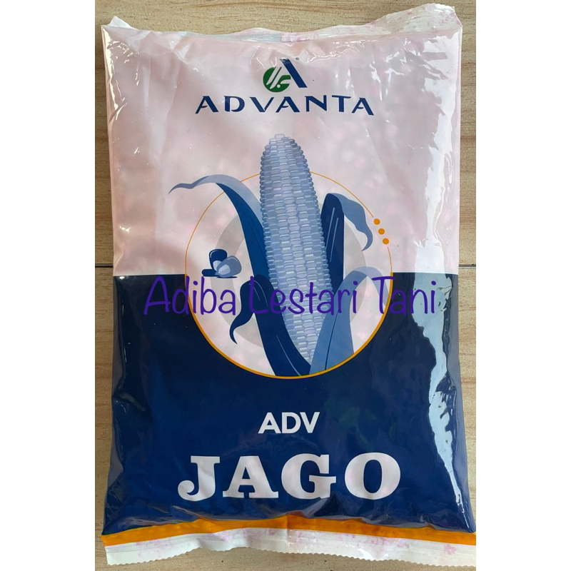 Jual Benih Jagung ADV JAGO 1KG - Cap Benih Advanta ( Jagung JAGO ...