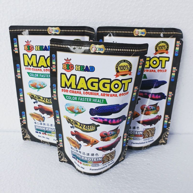 Jual MAGOT BIG HEAD KEMASAN 25g Pakan ikan hias aquarium predator cana ...