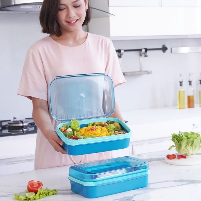 Jual TUPPERWARE KOTAK BIRU EZY RECTANGULER KEEPER 2L (2) TOSCA | Shopee ...