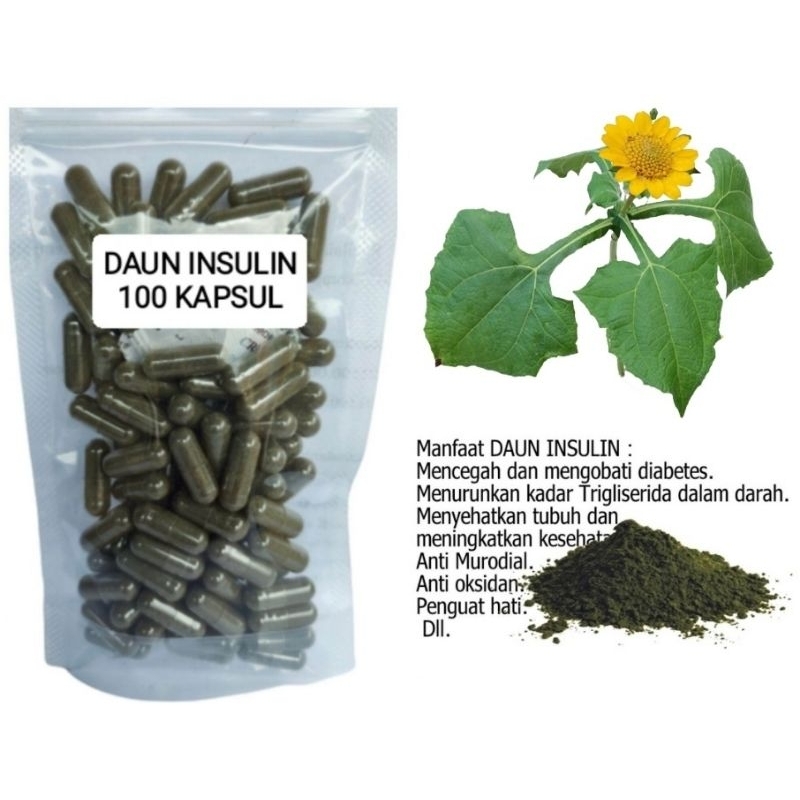 Jual Daun INSULIN 100 KAPSUL untuk diabetes | Shopee Indonesia