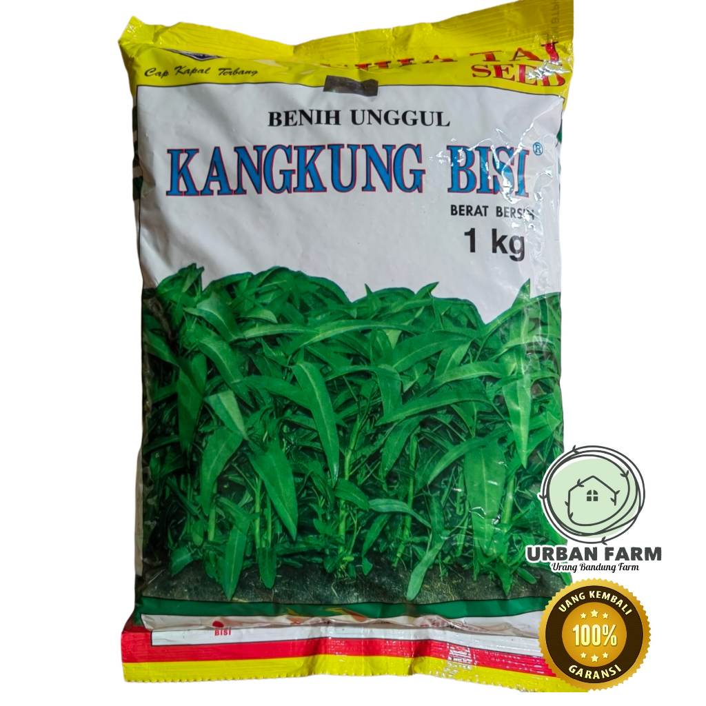 Jual Benih Kangkung BISI 1kg - Cap Kapal Terbang - Benih Kangkung Darat ... Jual Benih Kangkung BISI 1kg - Cap Kapal Terbang - Benih Kangkung Darat ...