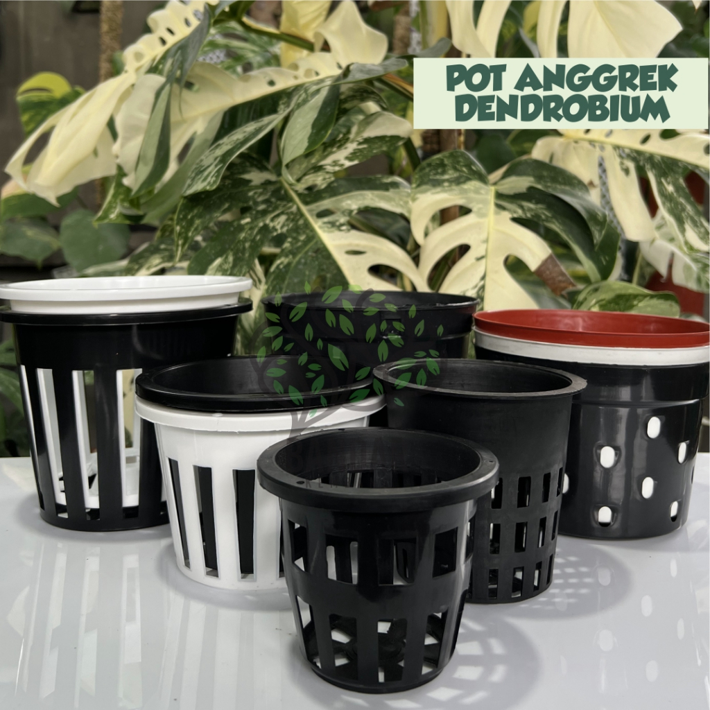 Jual Pot Anggrek Dendrobium Berbagai Macam Ukuran Pot Hidroponik Pot ...