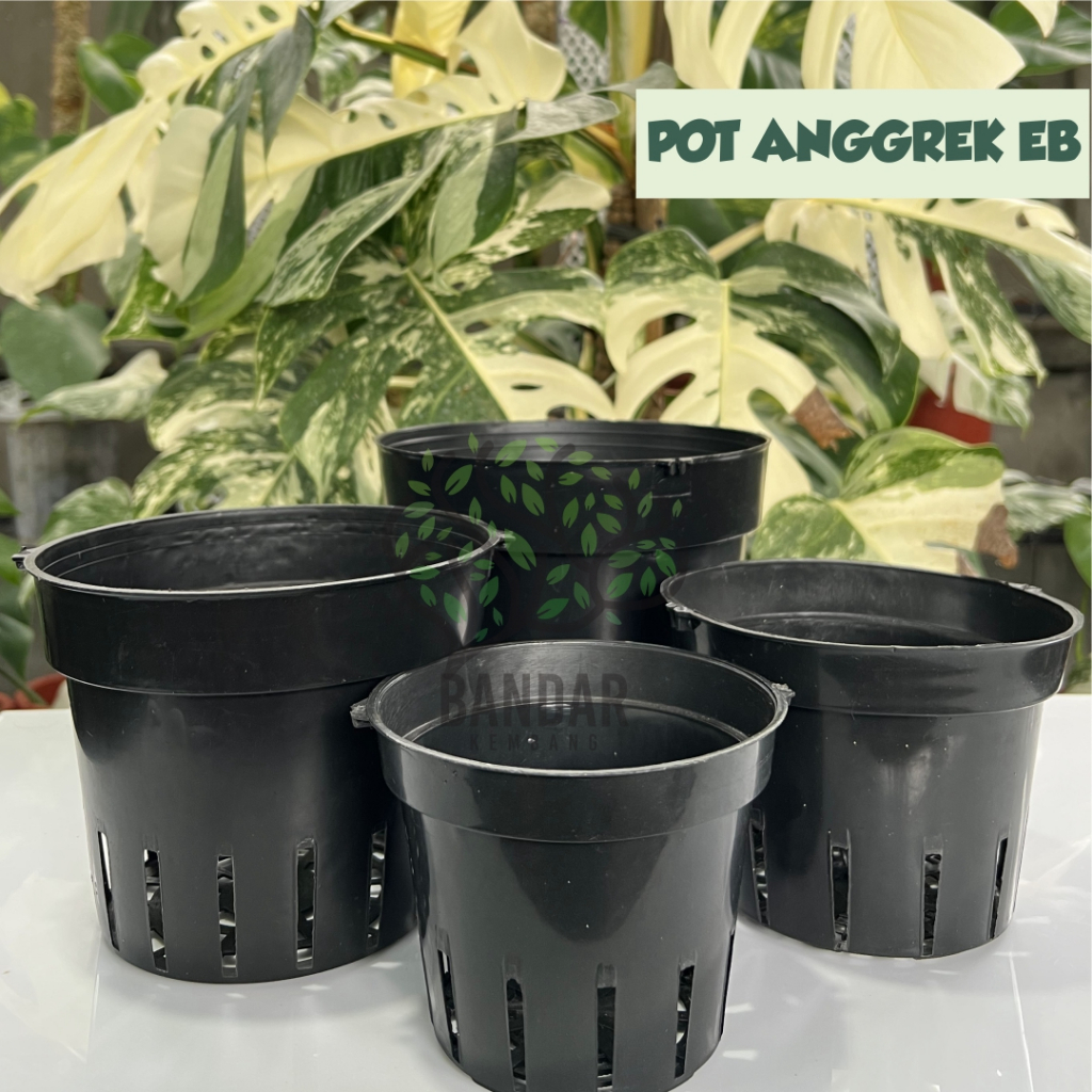 Jual Pot Anggrek EB Berbagai Macam Ukuran Warna Hitam Pot Hidroponik ...