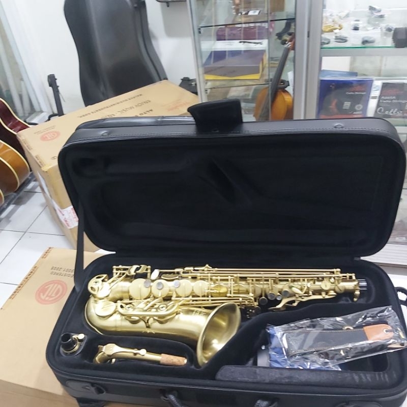 Jual Saxophone Alto Walker Germany (Satin Gold) | Shopee Indonesia