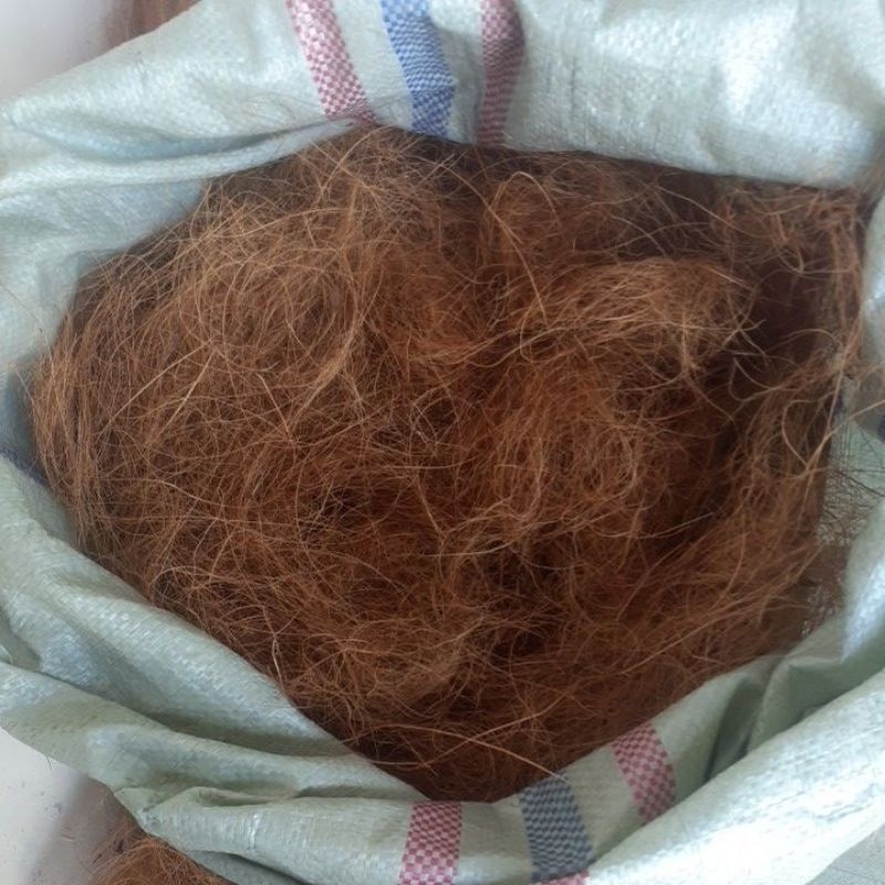 Jual Sabut kelapa media tanam Serabut kelapa Coco fiber 10kg | Shopee ...