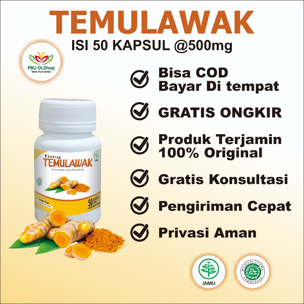 Jual Kapsul Ekstrak TEMULAWAK Original (isi : 50) Jamu Herbal Hepatitis ...