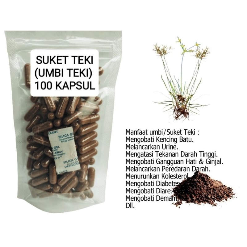 Jual UMBI/SUKET TEKI isi 100 kapsul untuk kolesterol dan jantung ...