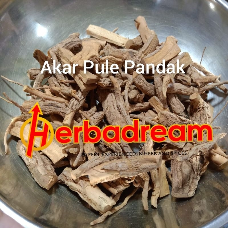 Jual 100 GRAM AKAR PULE PANDAK SIMPLISIA KERING DRIED | Shopee Indonesia