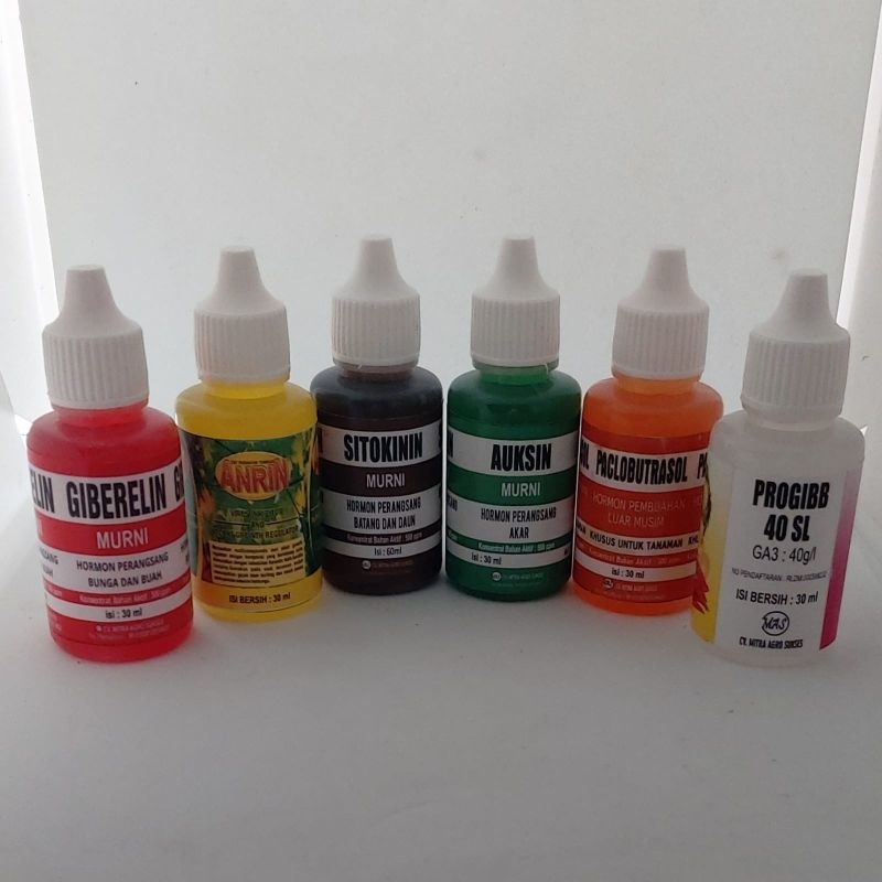 Jual Auksin Giberelin Sitokinin Anrin Paclo Progibb 30ml ZPT Tanaman ...
