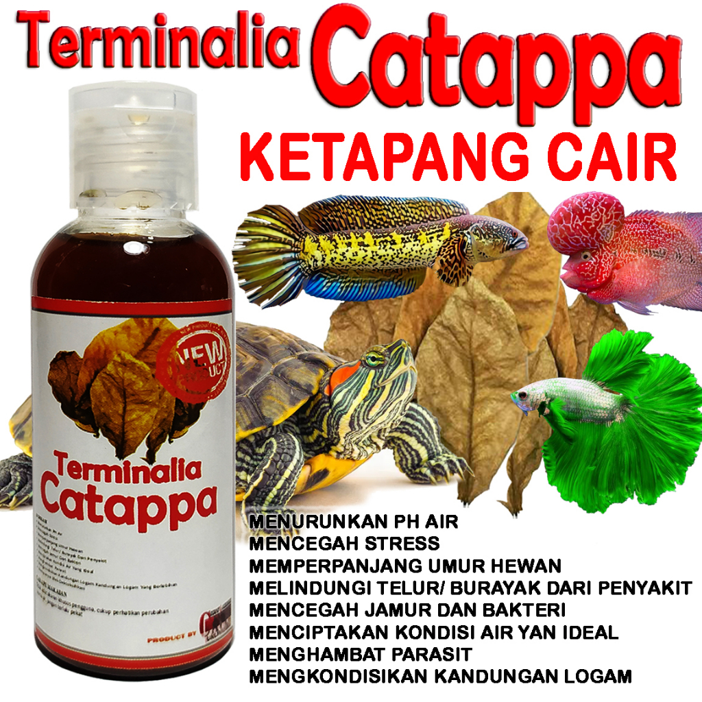 Jual EKSTRAK DAUN KETAPANG CAIR X KAYU SECANG OBAT ALAMI HEWAN IKAN ...