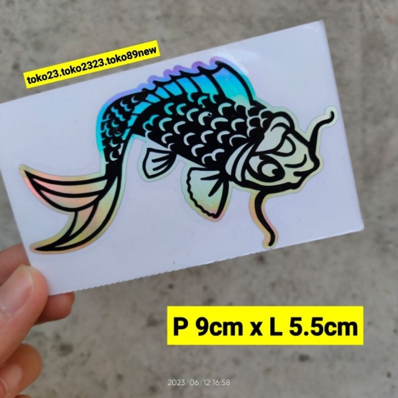 Jual stiker gambar ikan stiker motor hologram bagus | Shopee Indonesia