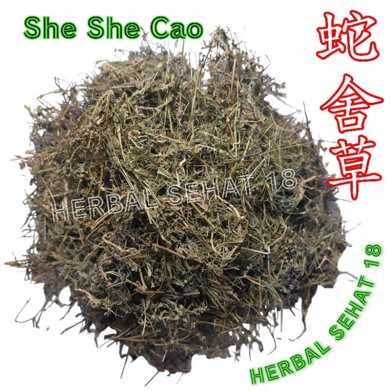 Jual Bai Hua She She Cao Lidah Ular Kering 600Gram 白花蛇舌草 Se She Chao ...
