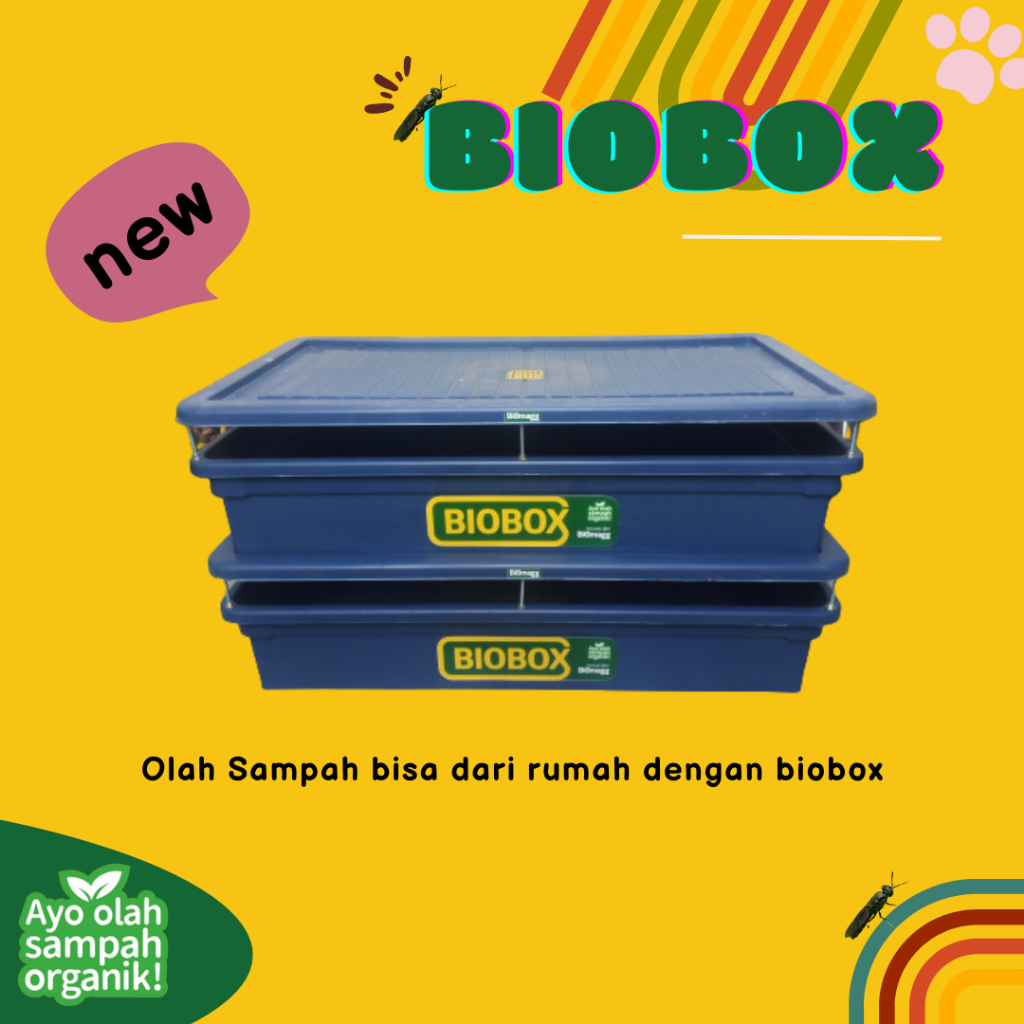 Jual Biobox Large double box maggot tingkat box maggot bsf | Shopee ...