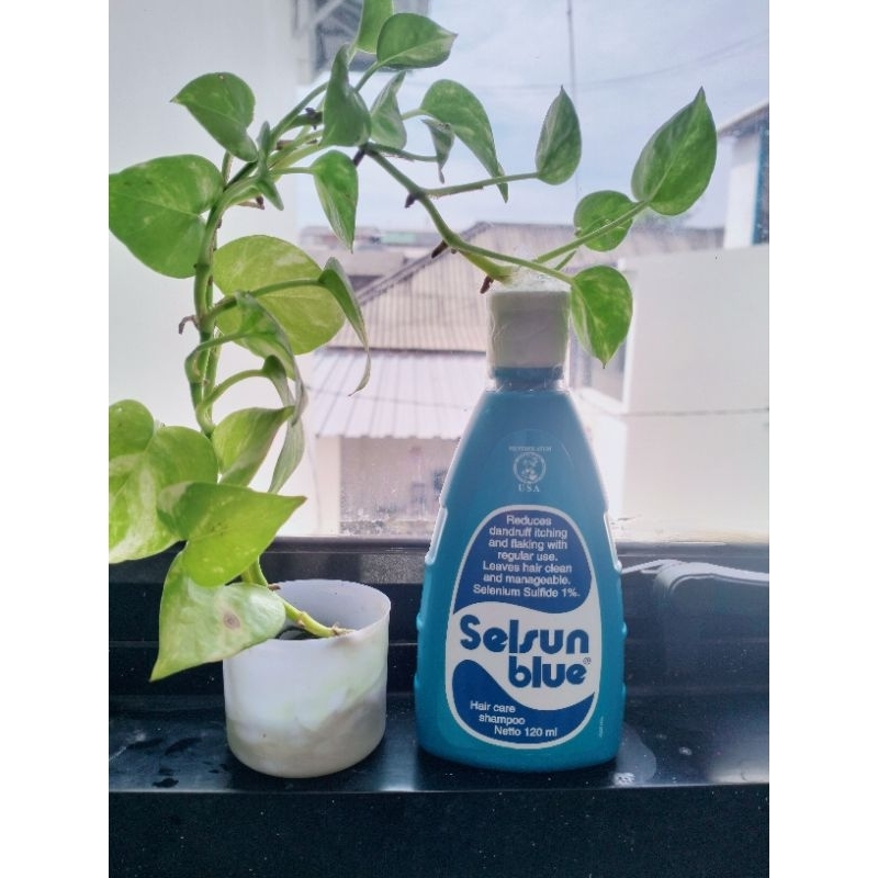 Jual SELSUN SHAMPOO BLUE 120ML | Shopee Indonesia