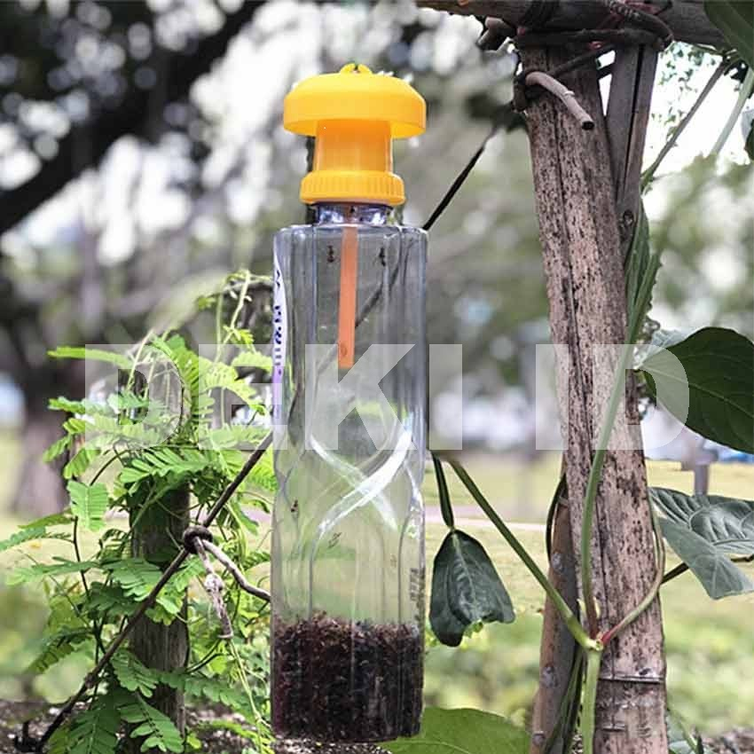 Jual Teragenol Tempat Petrogenol Perangkap Lalat Buah Insektisida ...