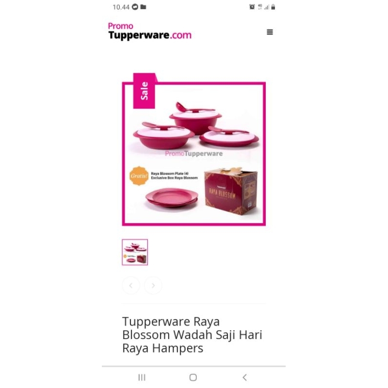 Jual Tupperware Raya Blossom colletion set | Shopee Indonesia