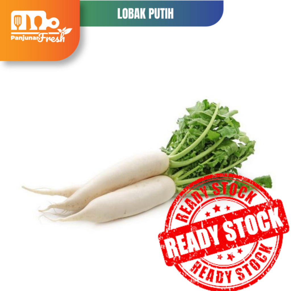 Jual LOBAK PUTIH SEGAR [SAYURAN SEGAR] 500 GRAM FRESH | Shopee Indonesia