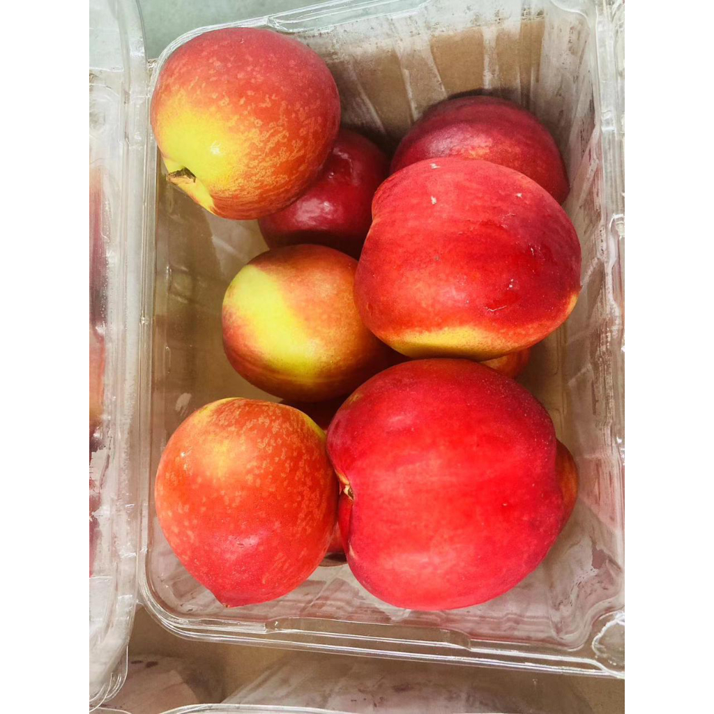 Jual Buah Nectarine - Buah Exotic Import - 800gram / pack | Shopee ...