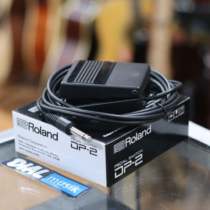 Jual Roland Pedal Switch DP2 - Pedal Sustain Keyboard - DP-2 | Shopee ...