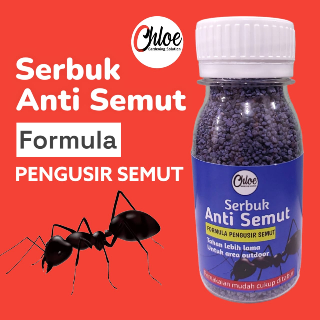 Jual Serbuk Pembasmi Semut Tahan Lama Usir Dan Basmi Semut 120gr ...