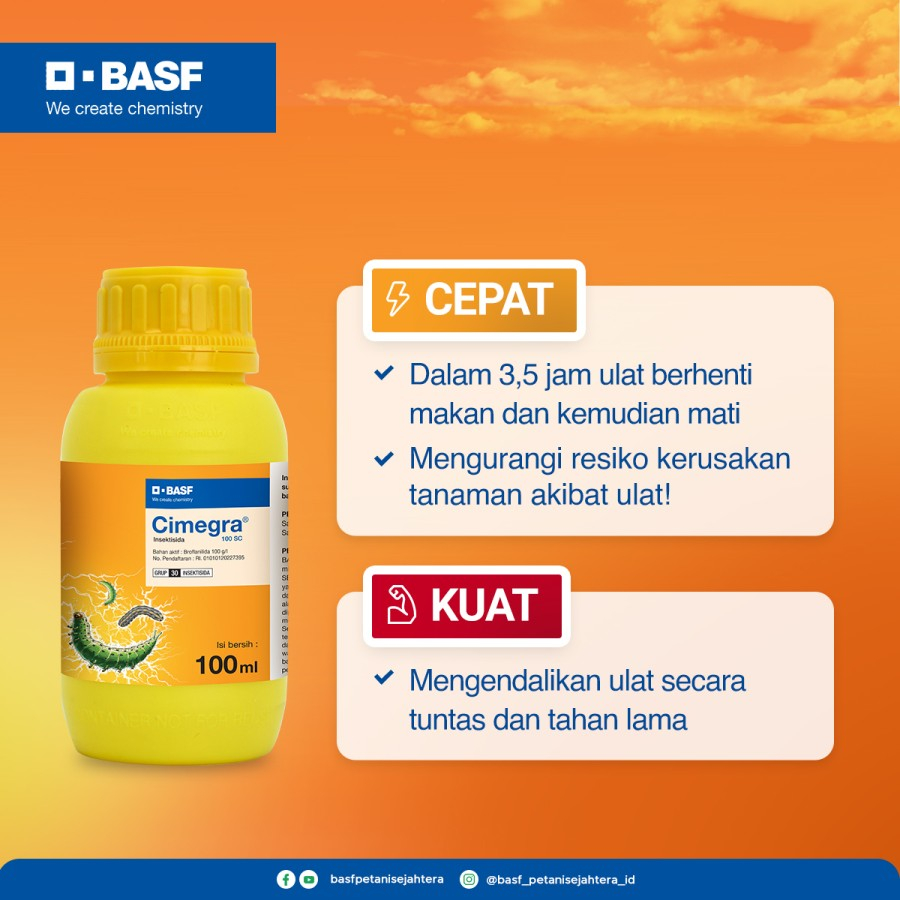 Jual Insektisida Cimegra 100SC 50ml 100% Asli Pengendali Hama Ulat Daun ...