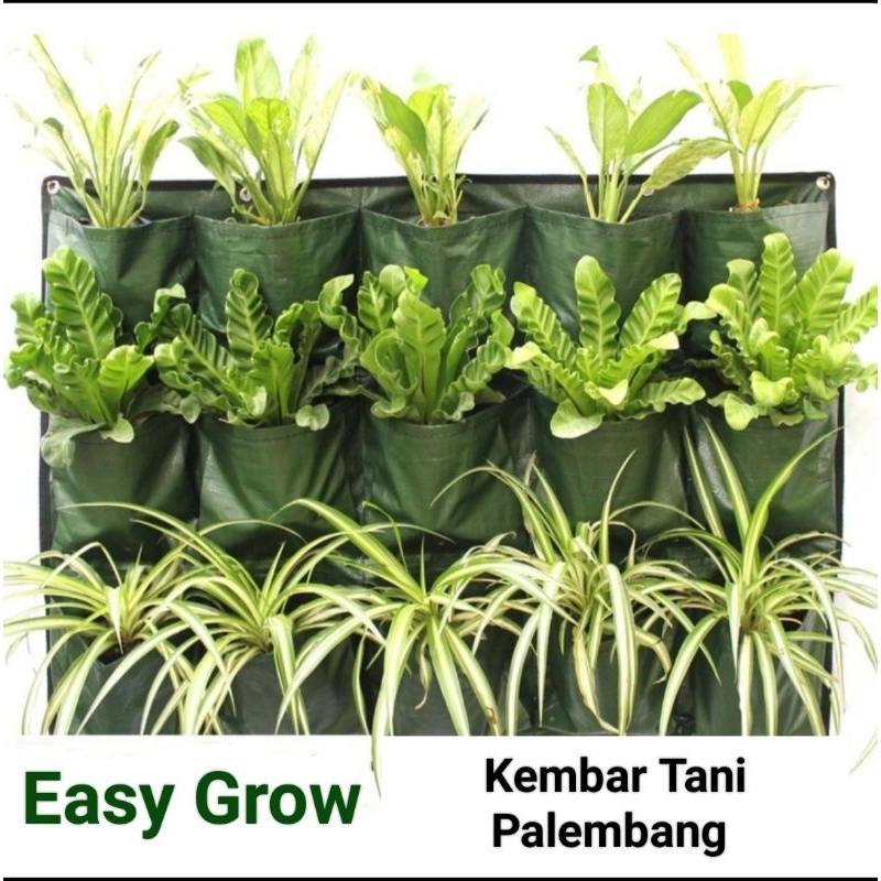 Jual Wall Planter Easy Grow horizontal 15 pocket | Shopee Indonesia
