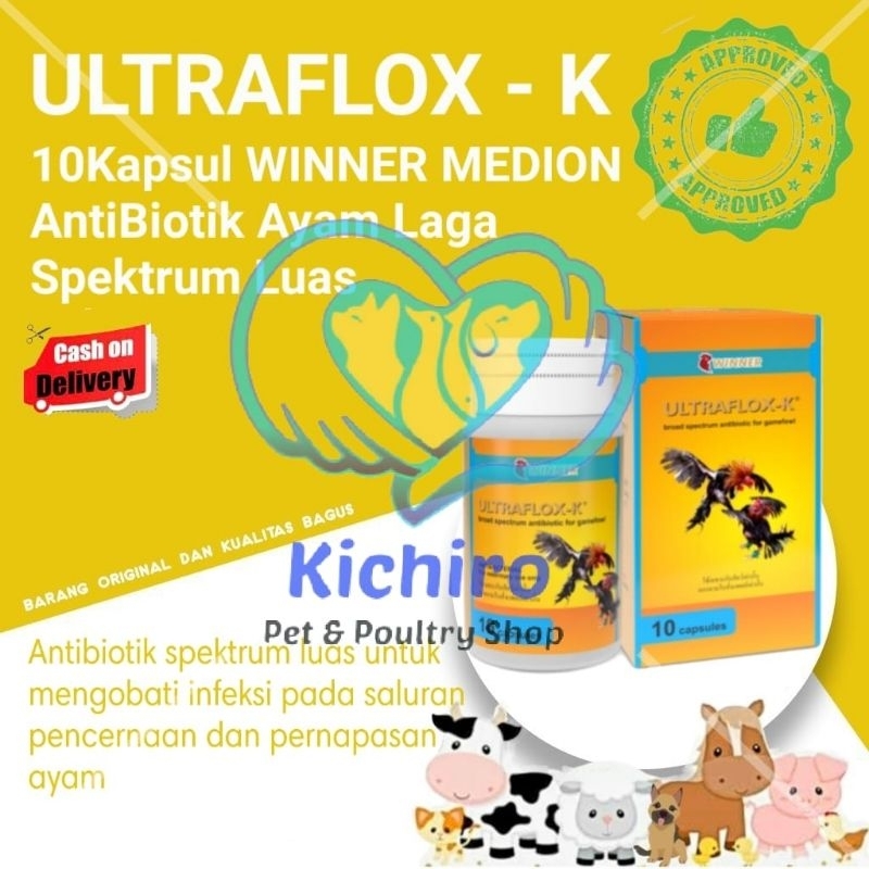 Jual Ultraflox K isi 10 Kapsul Winner Medion Obat Antibiotik Spektrum ...