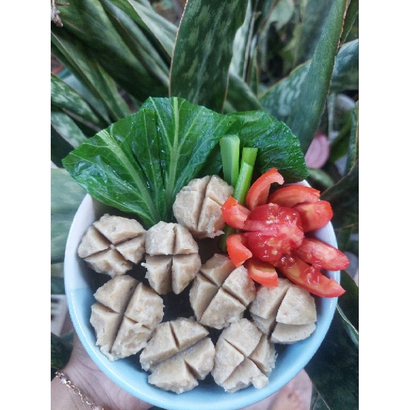 Jual Bakso Ayam + Sapi Frozen | Shopee Indonesia