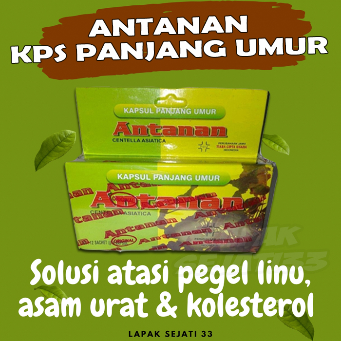 Jual Antanan Kapsul Panjang Umur Obat asam Urat Pegel Linu Dan Encok ...