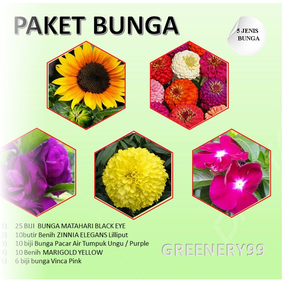 Jual JUAL BENIH BIJI BUNGA TANAMAN HIAS MUDAH TUMBUH (5 JENIS BIJI ...