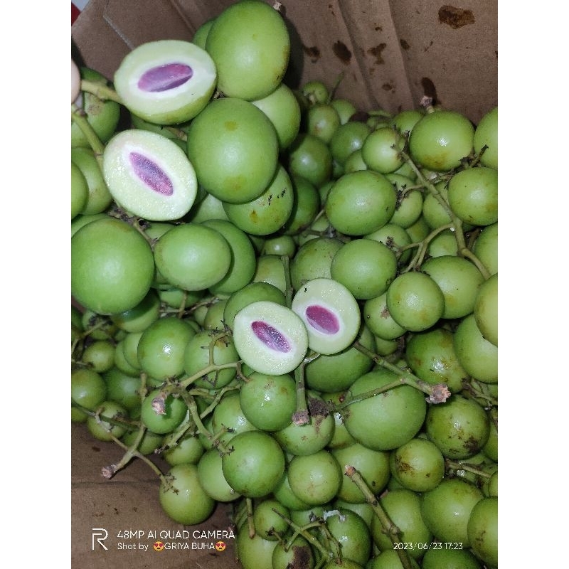 Jual Gandaria/jatake 250gram | Shopee Indonesia