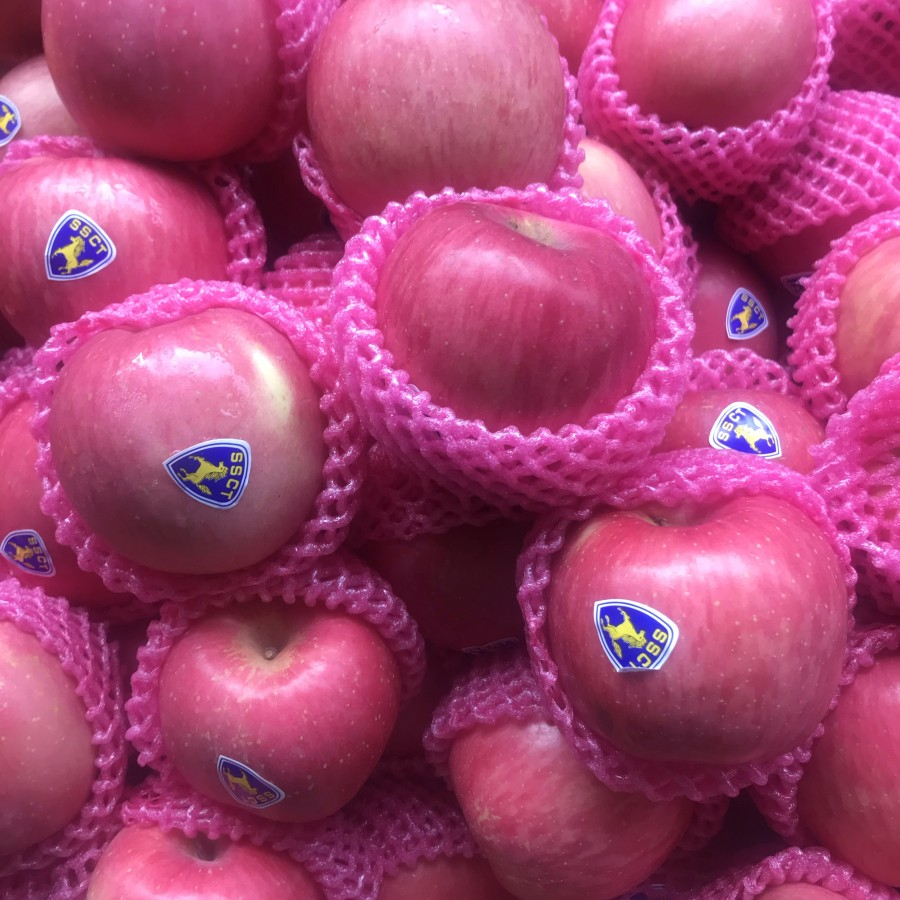 Jual Buah Segar Apel Fuji China Manis Garing 1000gr Fuji Apple RRC ...