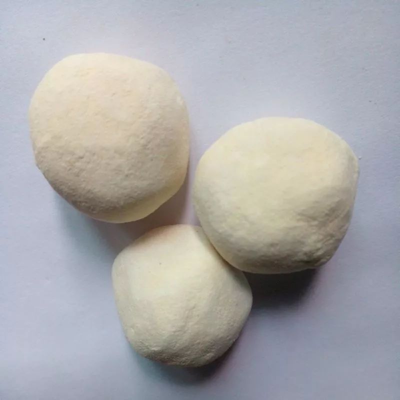 Jual ragi tape ragi tapai ketan dan singkong | Shopee Indonesia