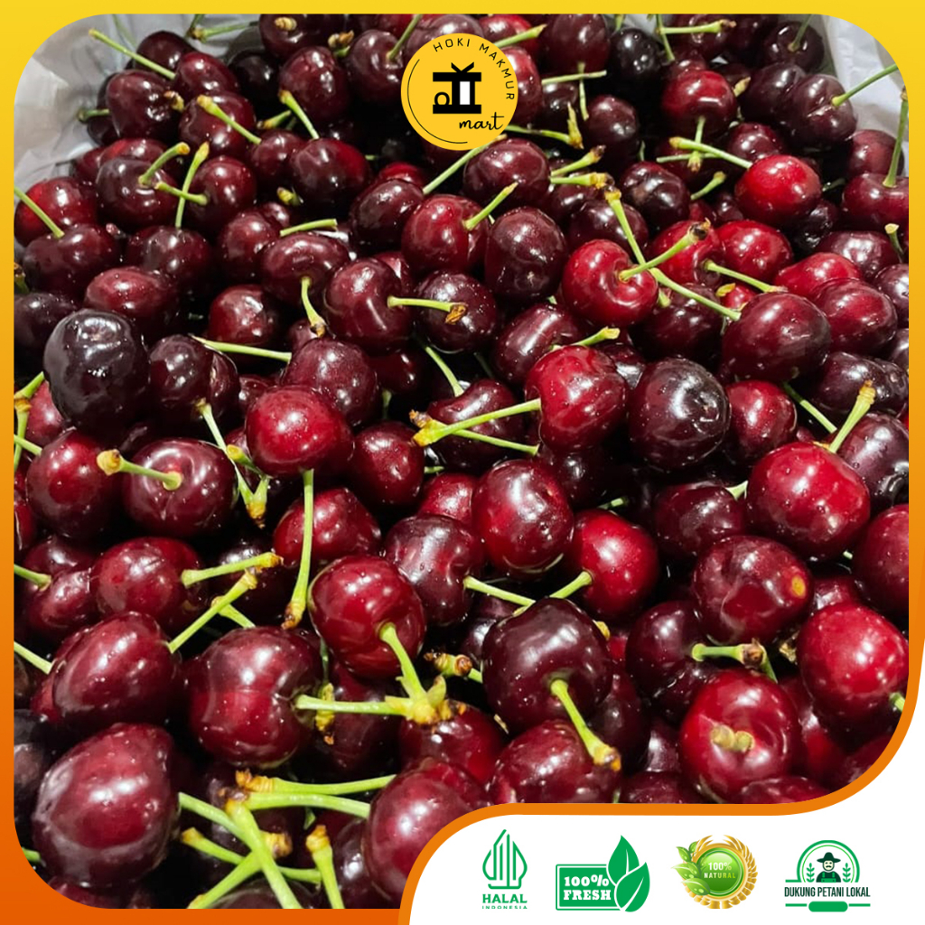 Jual FRESH CHERRY IMPORT FROM CALIFORNIA USA 250 GRAM | CERI SEGAR ...