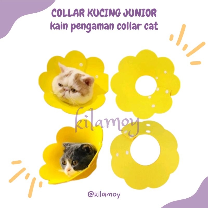 Jual Collar Kucing Junior Kain Pengaman Collar Cat | Shopee Indonesia