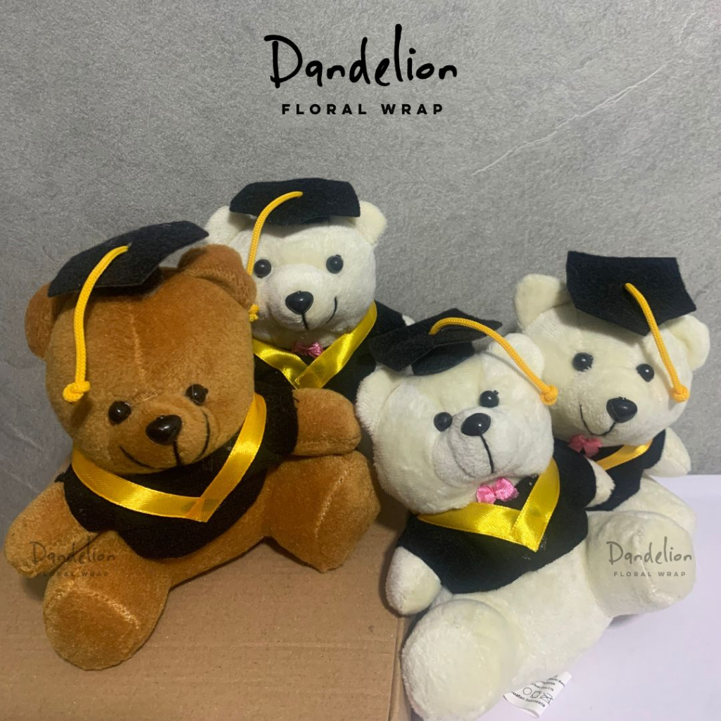 Jual BONEKA WISUDA BEAR LUCU BONEKA GRADUATION BERUANG | Shopee Indonesia