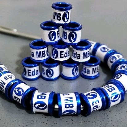 Jual RING BURUNG MURAI GELANG IDENTITAS RING BURUNG CUSTOM MODEL VELG ...