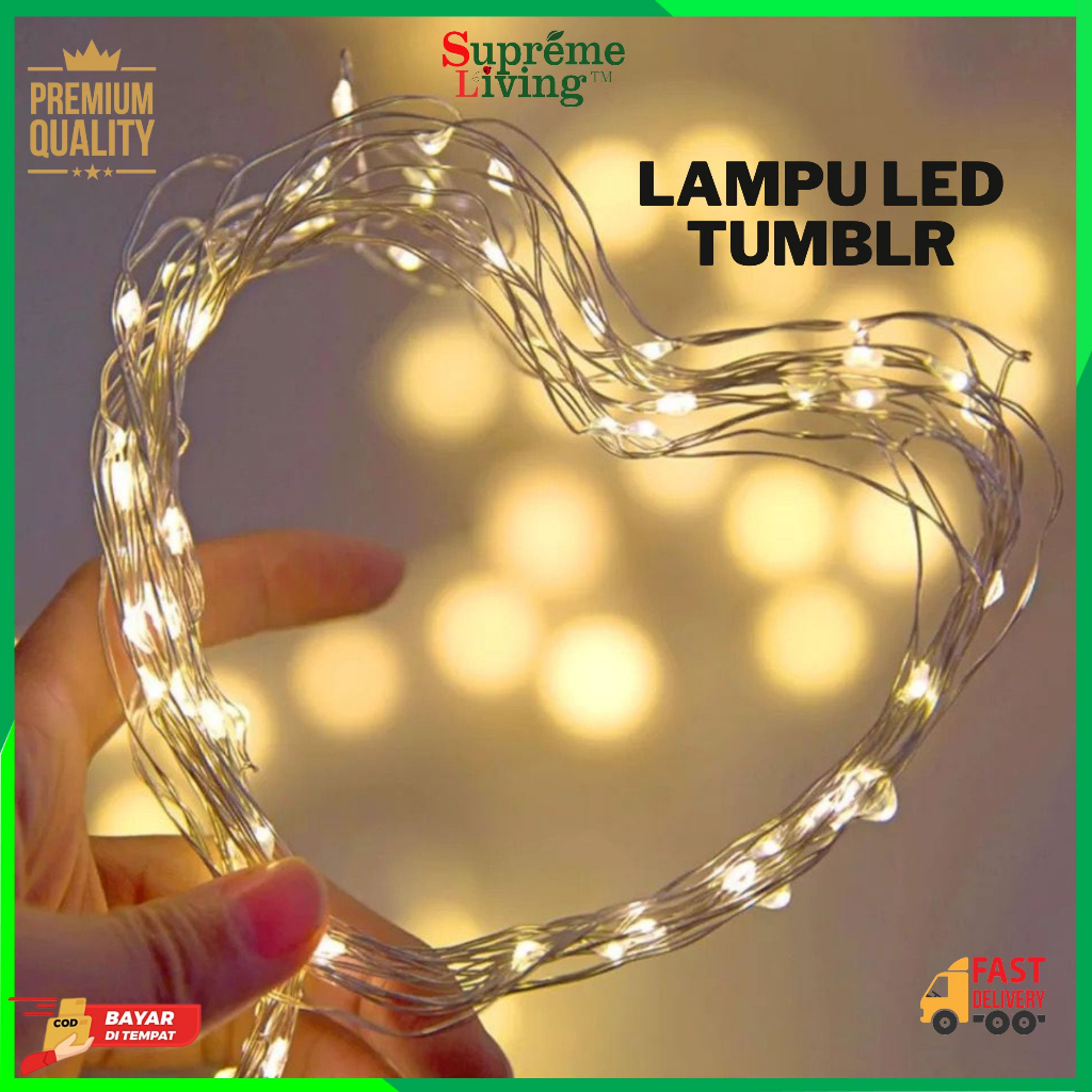 Jual Mini LED Lampu Tumblr Dekorasi Kelap-Kelip Sudah Termasuk Baterai ...